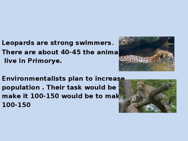 The glimpses of fauna and flora of Primorye