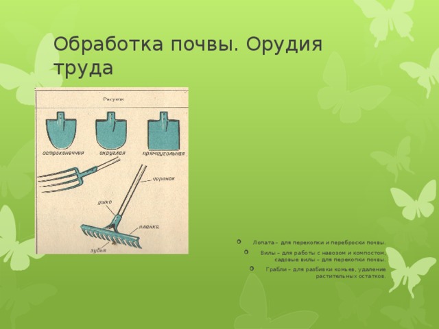 Презентация по технологии "Сельскохозяйственный труд"