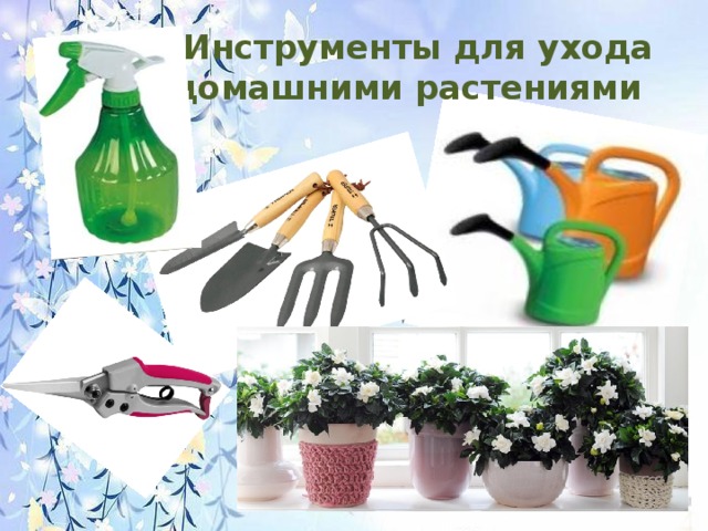 Презентация "КОМНАТНЫЕ РАСТЕНИЯ В ИНТЕРЬЕРЕ