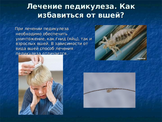Педикулез. Личная гигиена